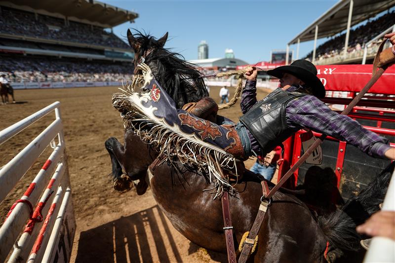 Calgary Stampede: Skittle Dogs, Shania Twain, and the best time of the ...