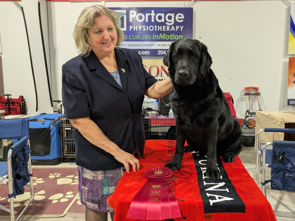 Canada’s top dogs shine in Portage - PortageOnline.com - Local news ...