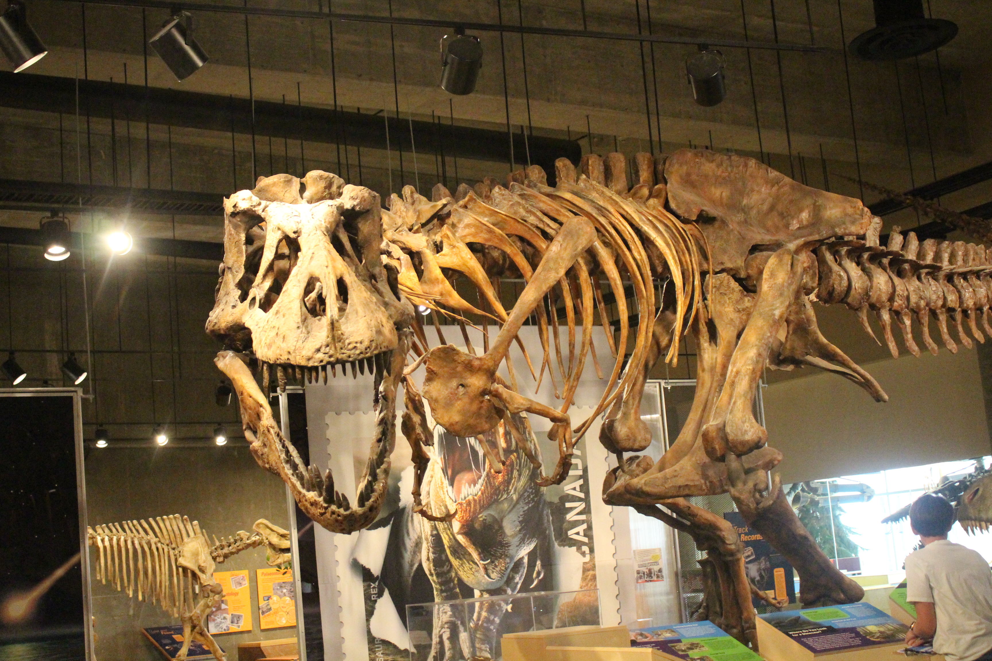 Eastend gears up for Dino Days Weekend of fun - SwiftCurrentOnline.com ...