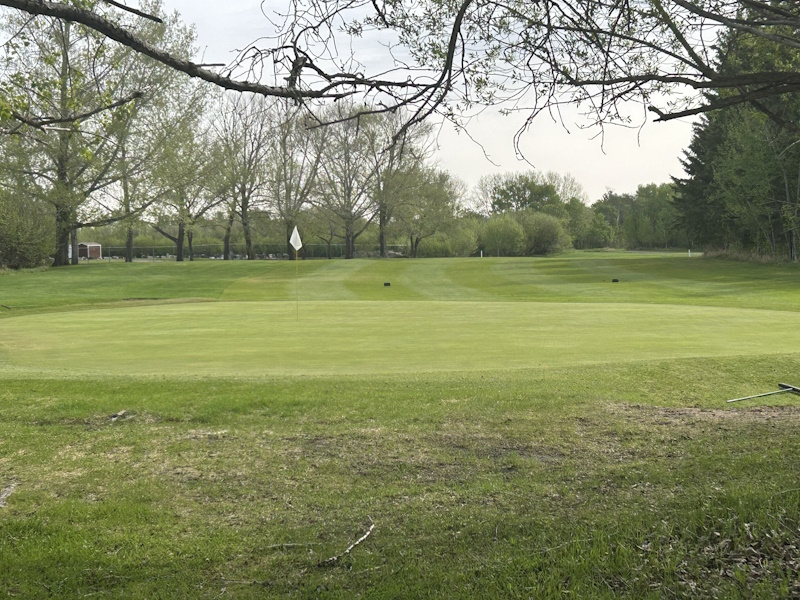 Local Maple Leaf tour golfer results - SwiftCurrentOnline.com - Local ...