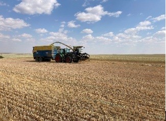 Silage is a great way to harvest and preserve large quantities of ...