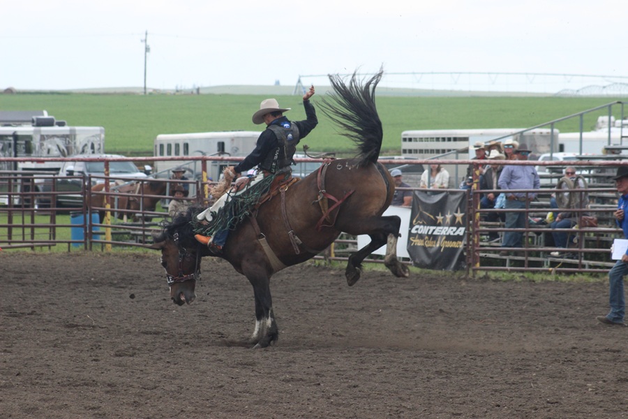 Rockyford Rodeo brings thousands to Alberta village - StrathmoreNow.com ...