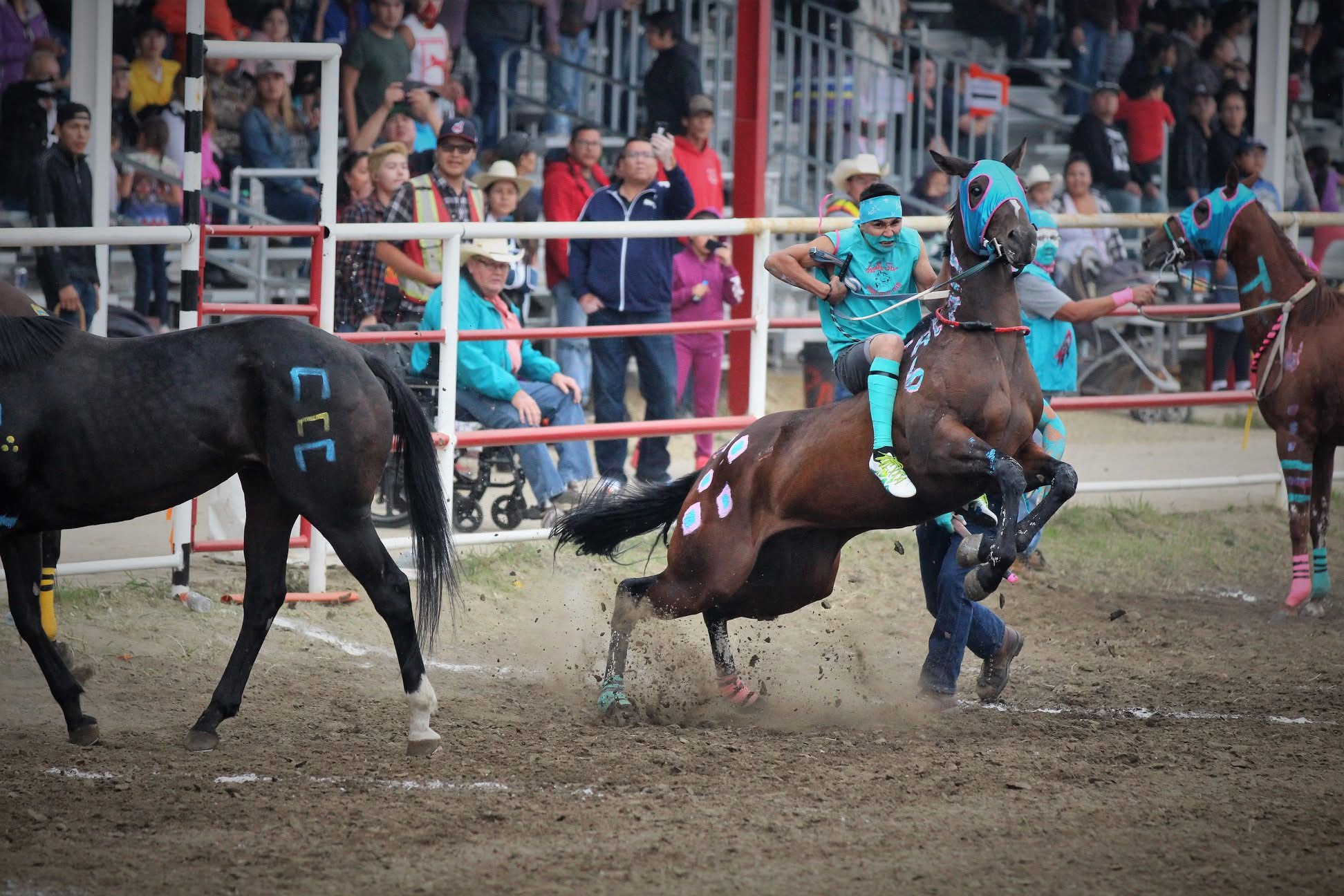 Classic rodeo returns to Ermineskin Cree Nation with weekend-long ...