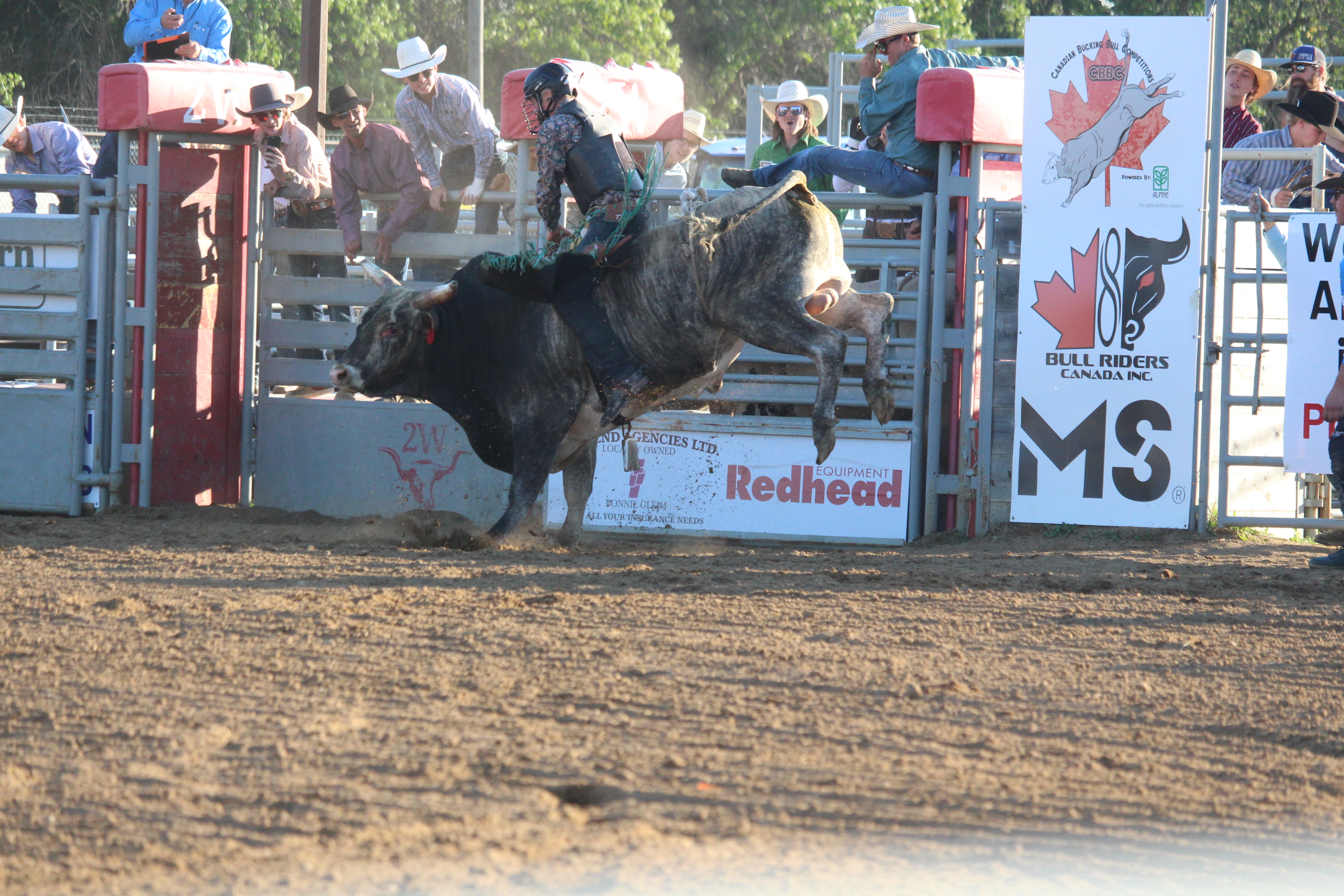 Bucking MS in Speedy Creek another success - SwiftCurrentOnline.com ...