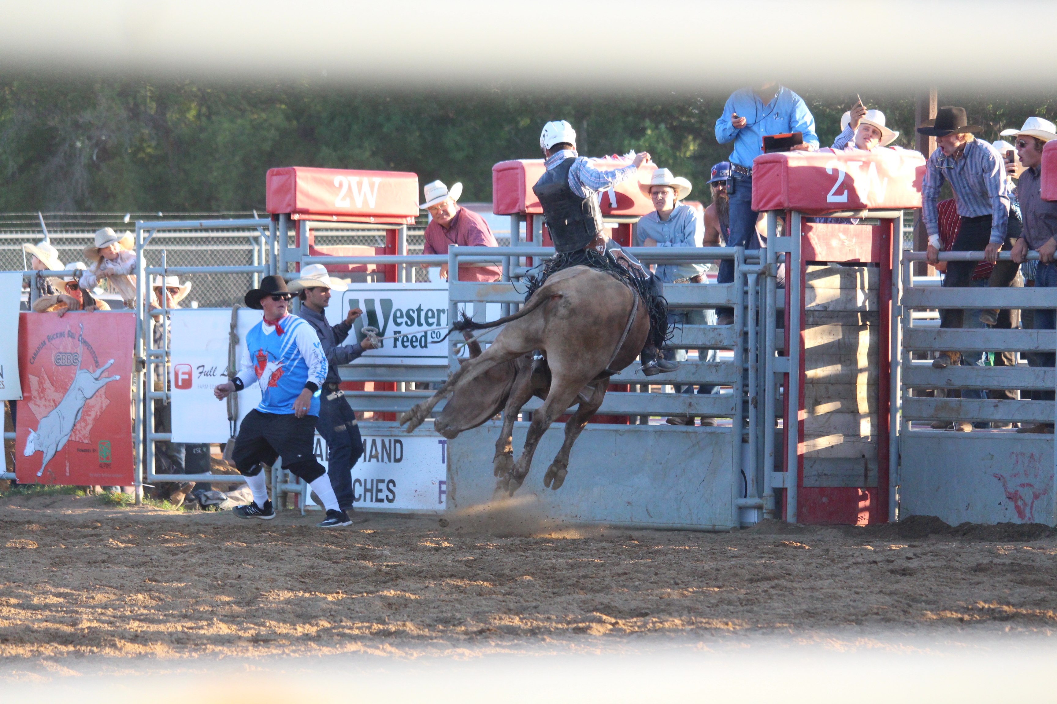 Bucking MS in Speedy Creek another success - SwiftCurrentOnline.com ...