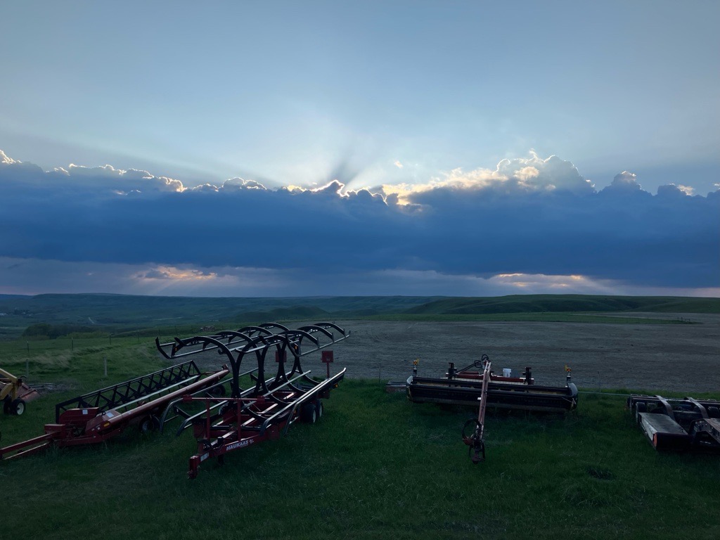 Sask. Open Farm Days to cultivate connection - SwiftCurrentOnline.com ...