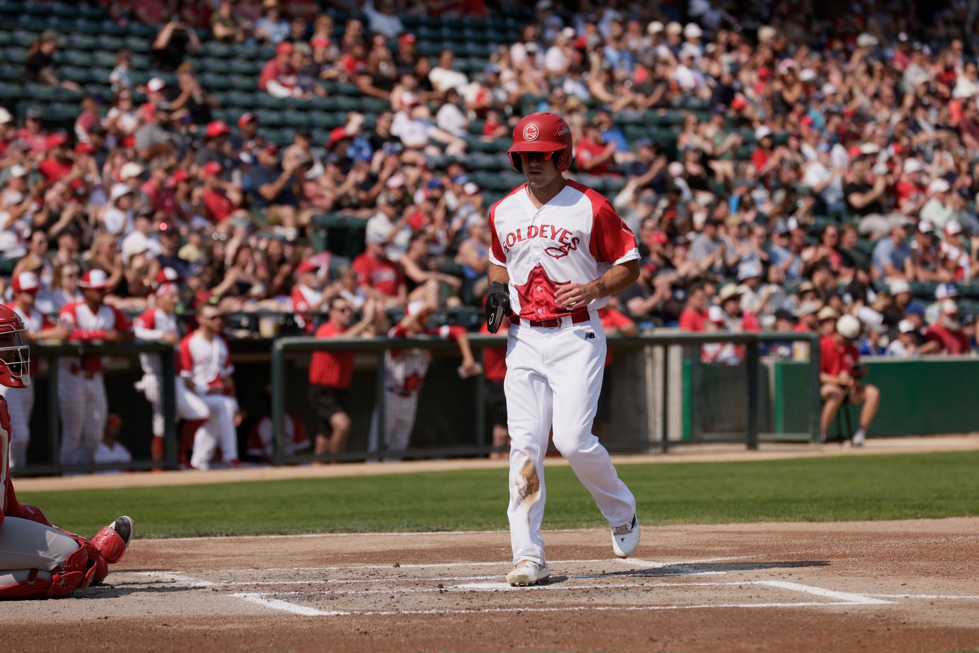 Goldeyes celebrate Canada Day with victory - Classic107: Winnipeg's ...