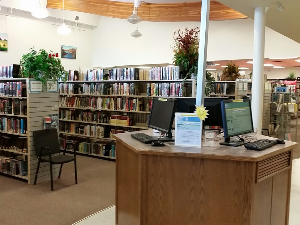 Library tour aims to spark curiosity and connection in Portage ...
