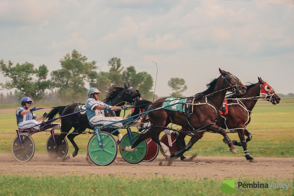Chase the thrill of the Miami Harness Races, coming up the 19th and ...