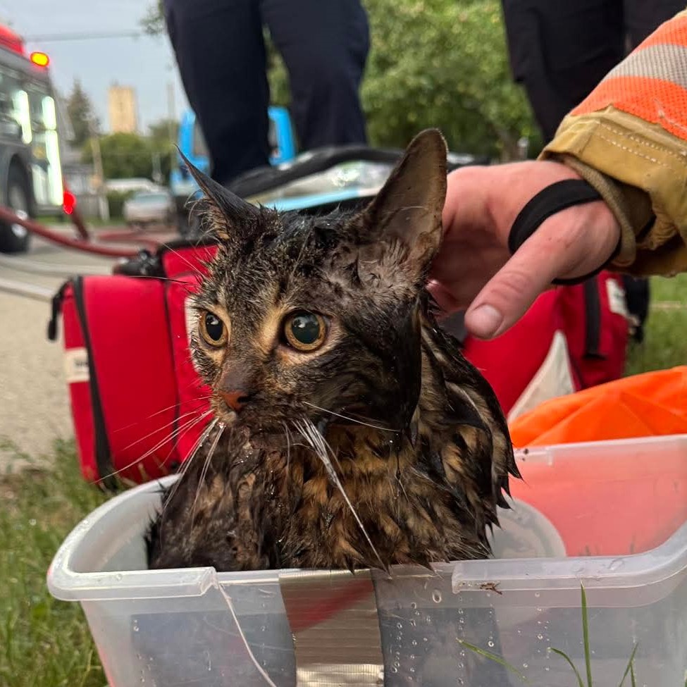 UPDATE: MJFD responds to early morning structure fire ...