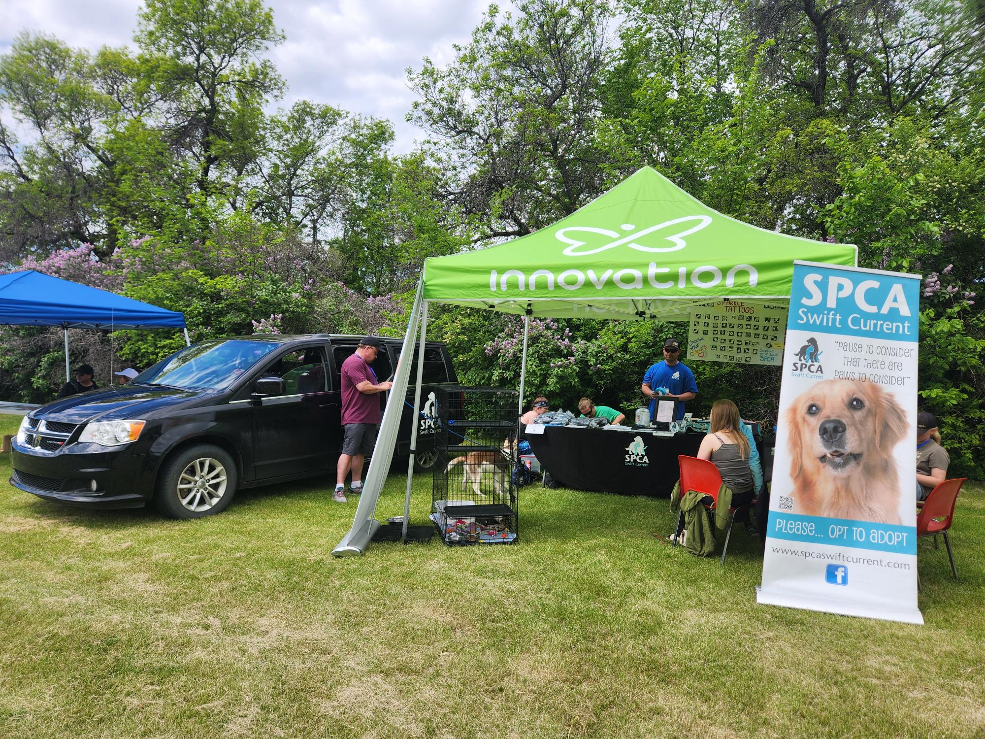 Rescue pets, donkey kisses, & more at SPCA's Annual Adoptathon ...