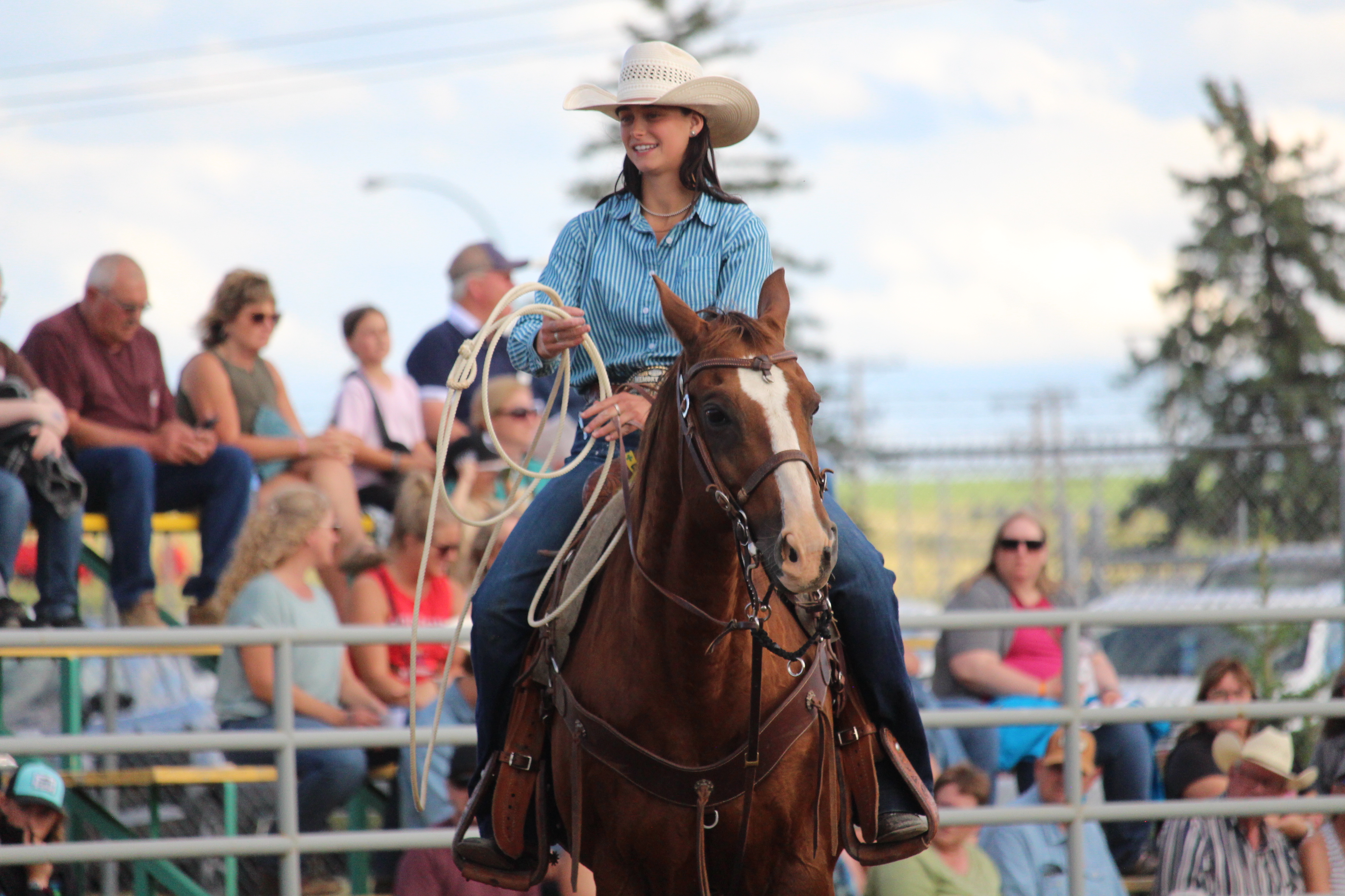 68th annual rodeo just over the Hallonquist horizon ...