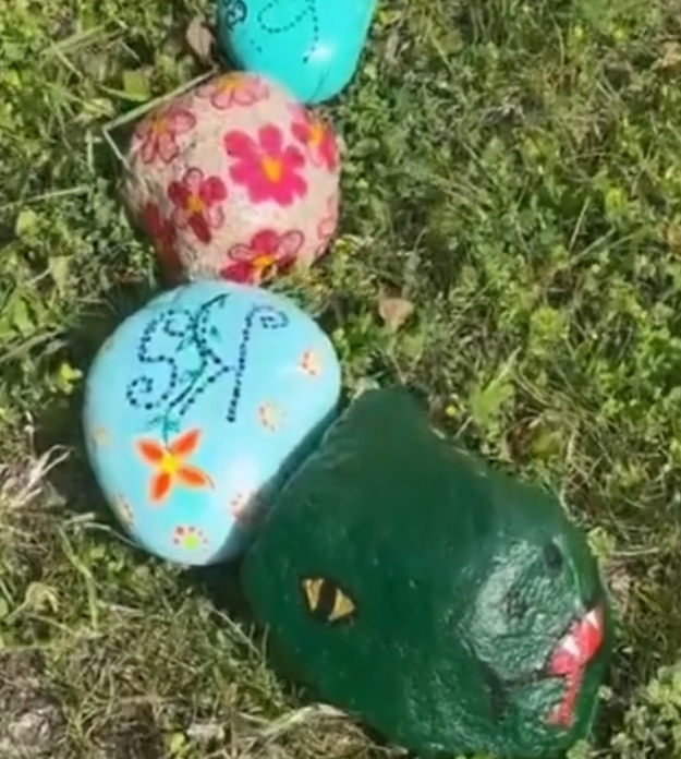 Sylvan Lake launches rock snake community project ahead of Neighbour Day - CentralAlbertaOnline ...