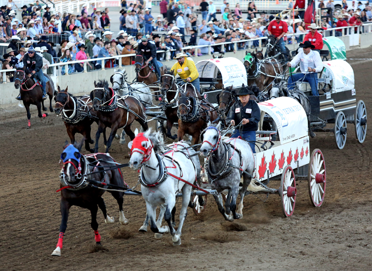 The chuckwagon races fill the stands for day one of the Calgary ...