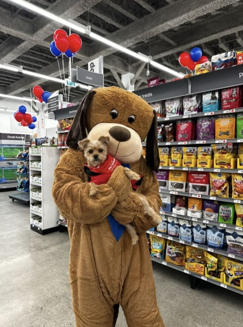 Find your fur-ever friend at PetSmart this weekend - CochraneNow ...