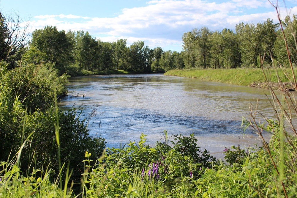 High River RCMP share safety tips as river raft and tubing season is in ...