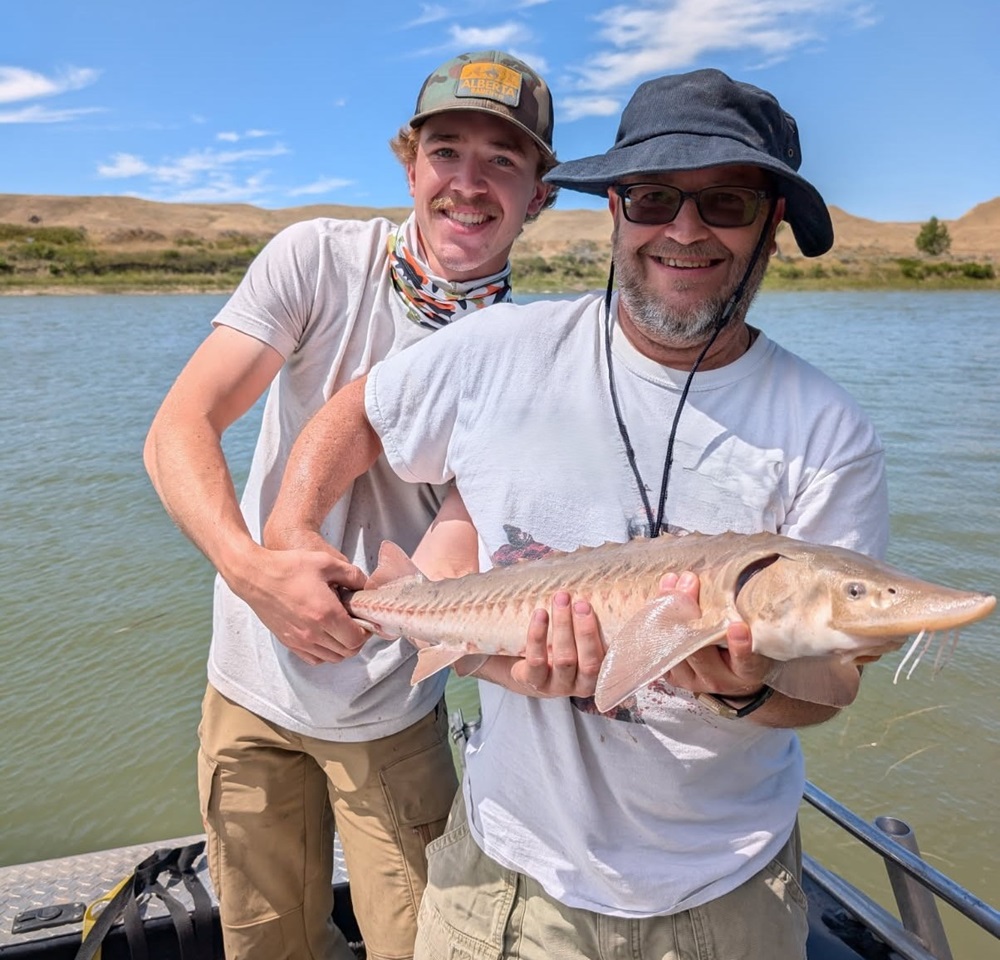 Fishing for Lake Sturgeon in Alberta's rivers - OkotoksOnline.com ...
