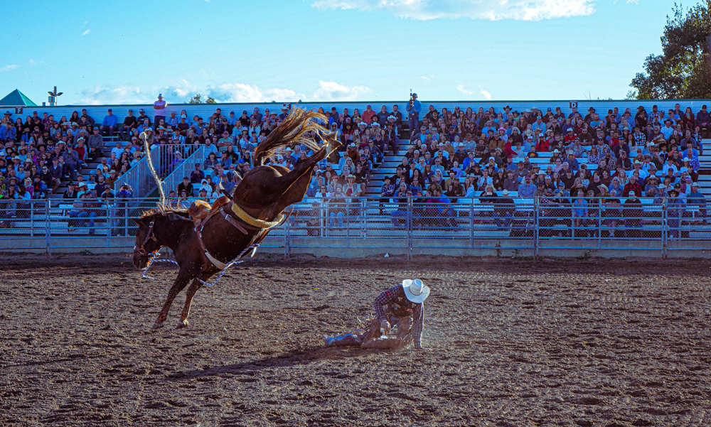 The Okotoks Pro Rodeo returns later this month - OkotoksOnline.com ...