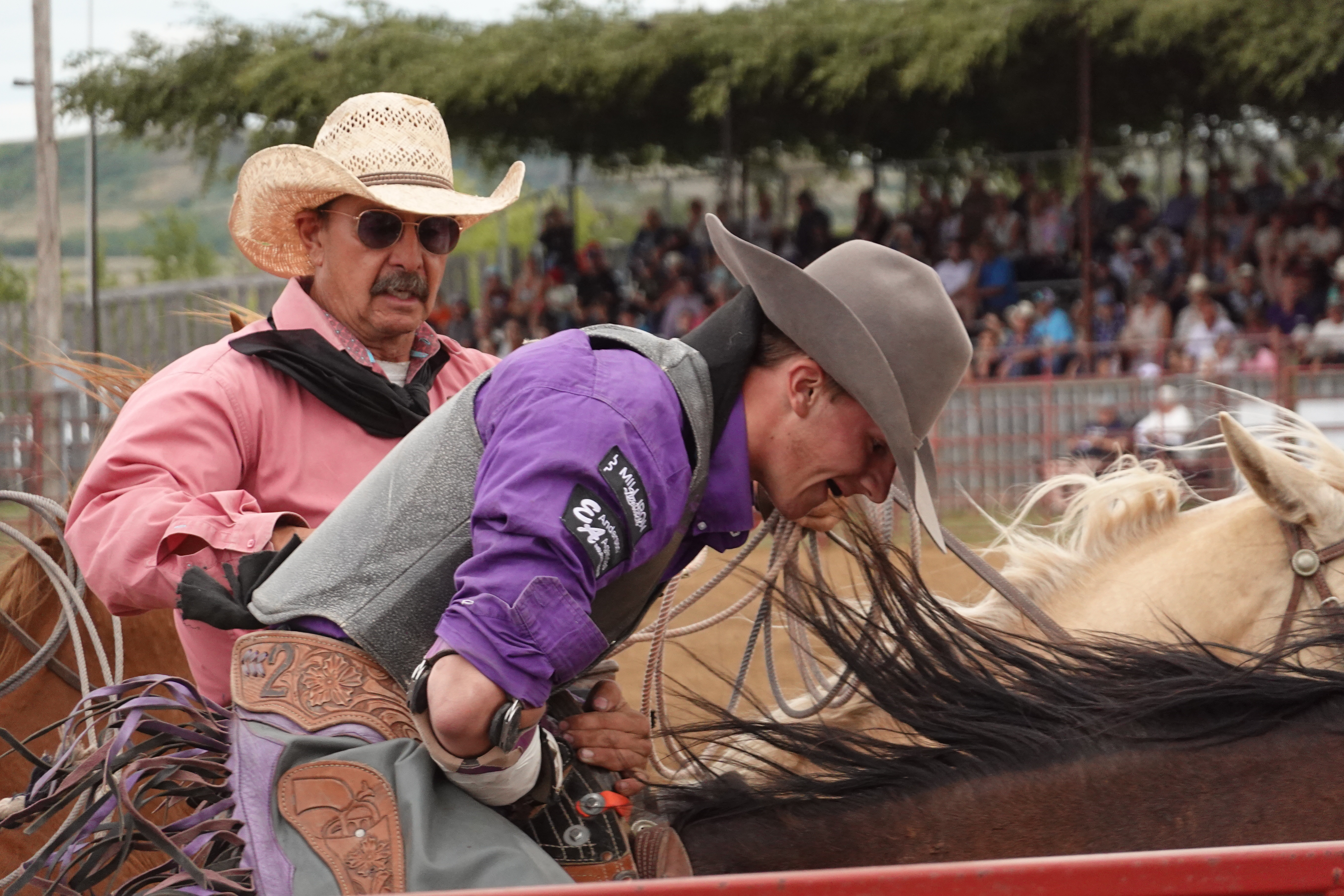 Crowds Flock to Wood Mountain Stampede - SwiftCurrentOnline.com - Local ...