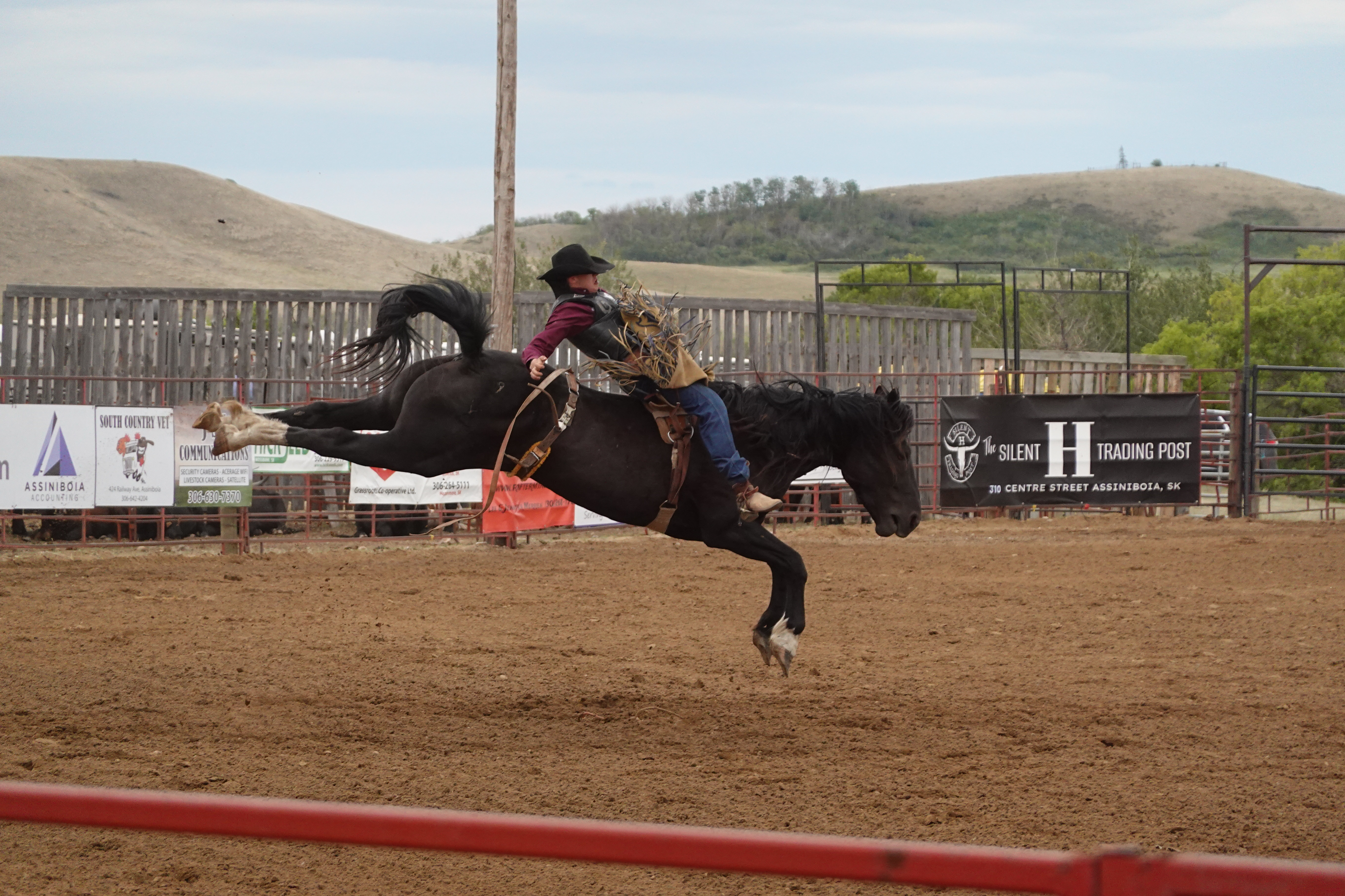 Crowds Flock to Wood Mountain Stampede - SwiftCurrentOnline.com - Local ...