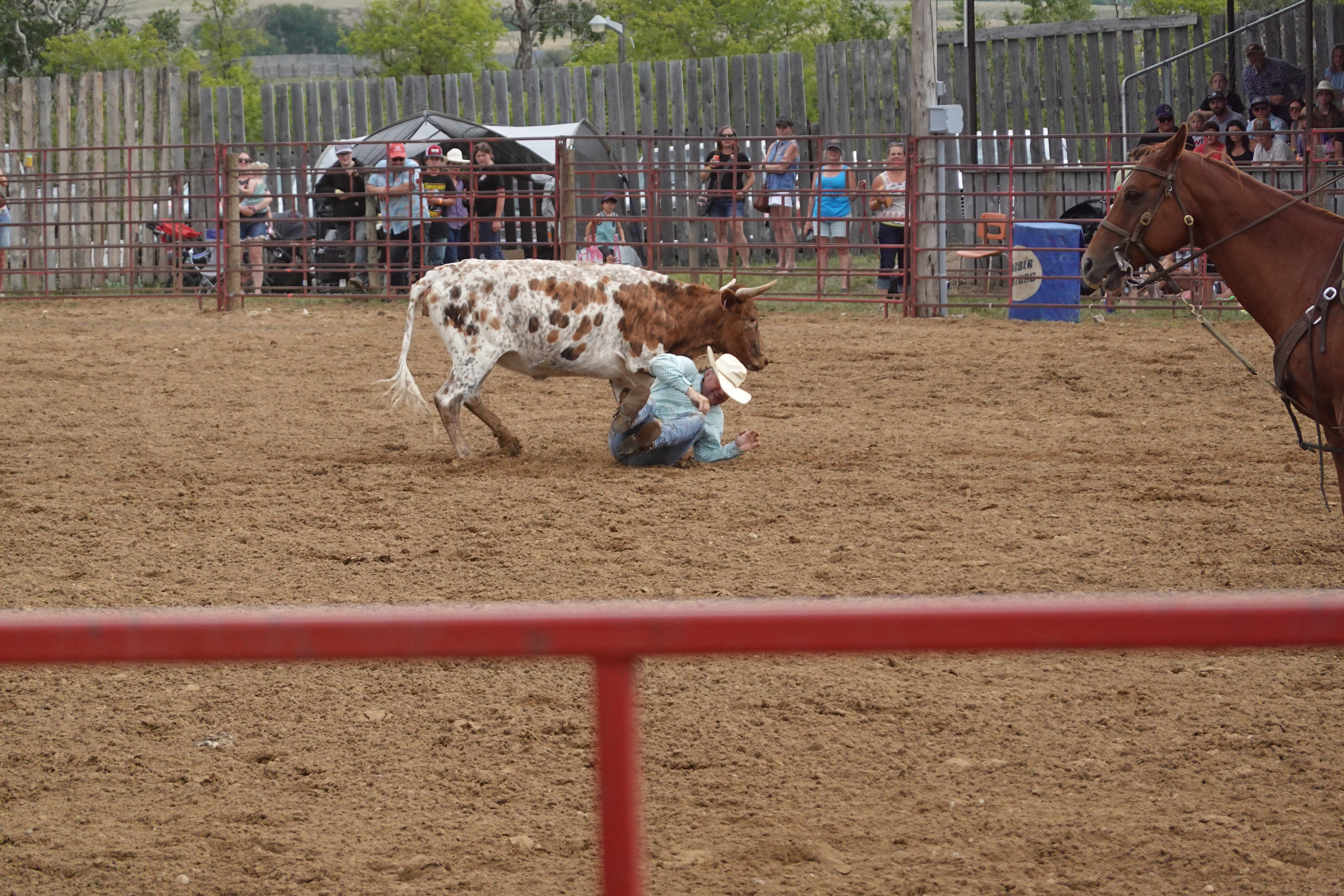 Crowds Flock to Wood Mountain Stampede - SwiftCurrentOnline.com - Local ...
