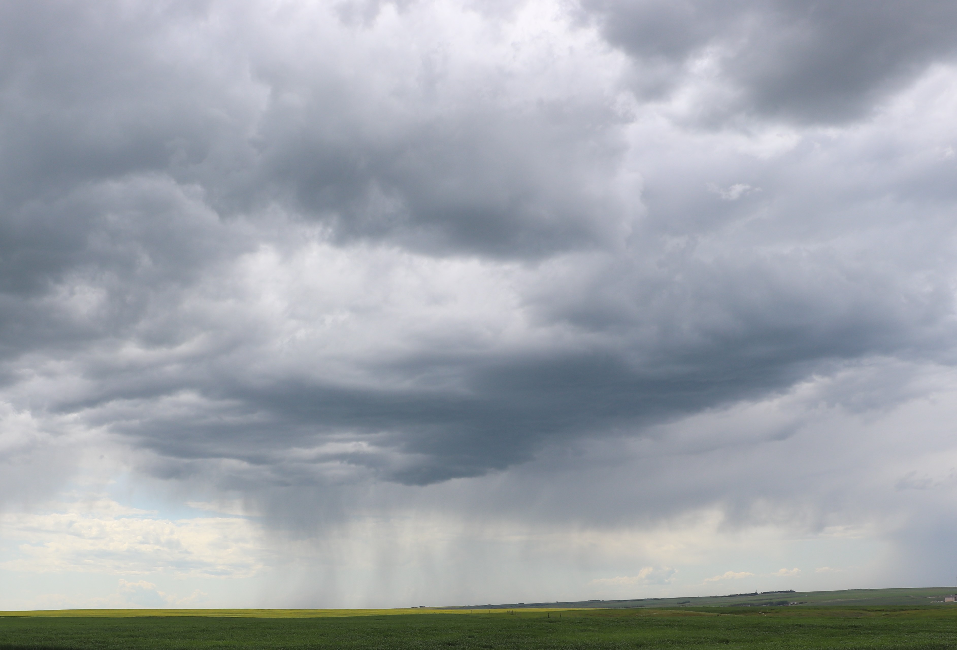Prairie Crop Update : June rains bring some much-needed rain to many ...