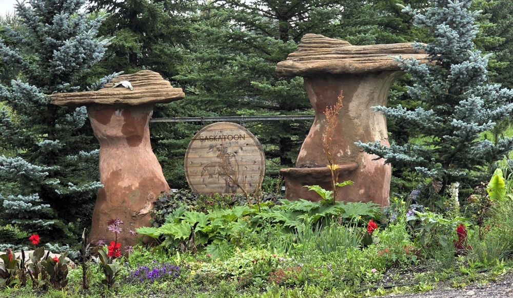 Saskatoon Farm food services resume after nearly month-long closure ...