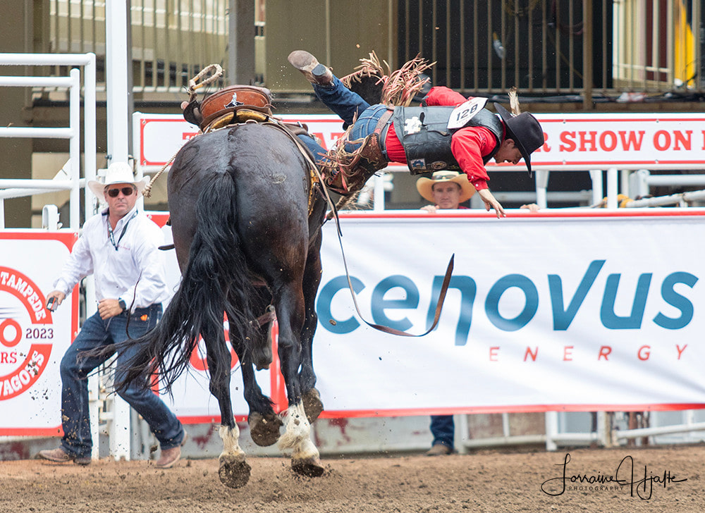 Pool B at Calgary Stampede heats up as only top 3 today go to finals ...