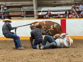 Back in the saddle at Cadillac Ranch Rodeo - SwiftCurrentOnline.com ...