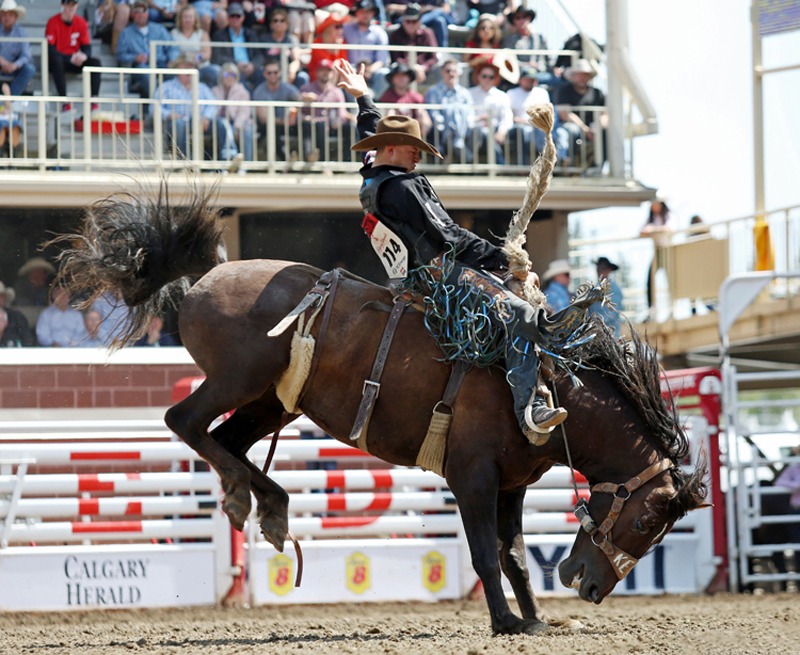 Three Albertans win Championships at Calgary Stampede - StrathmoreNow ...