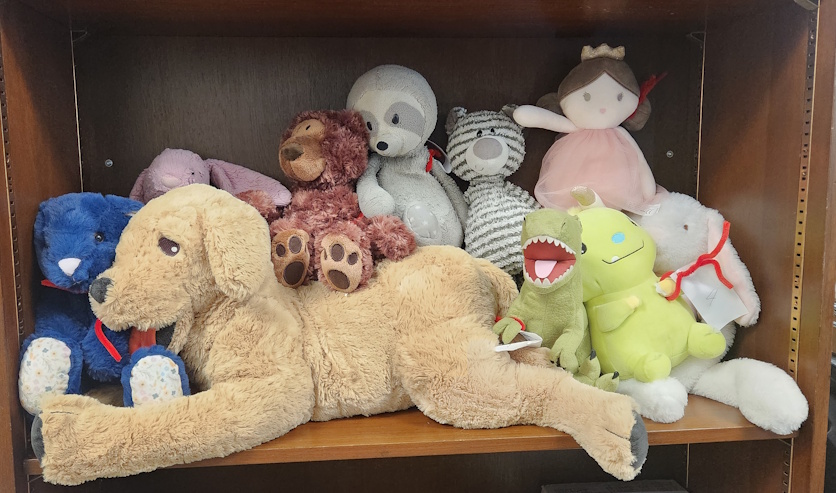 Stuffies take over the library for a sleepover adventure ...
