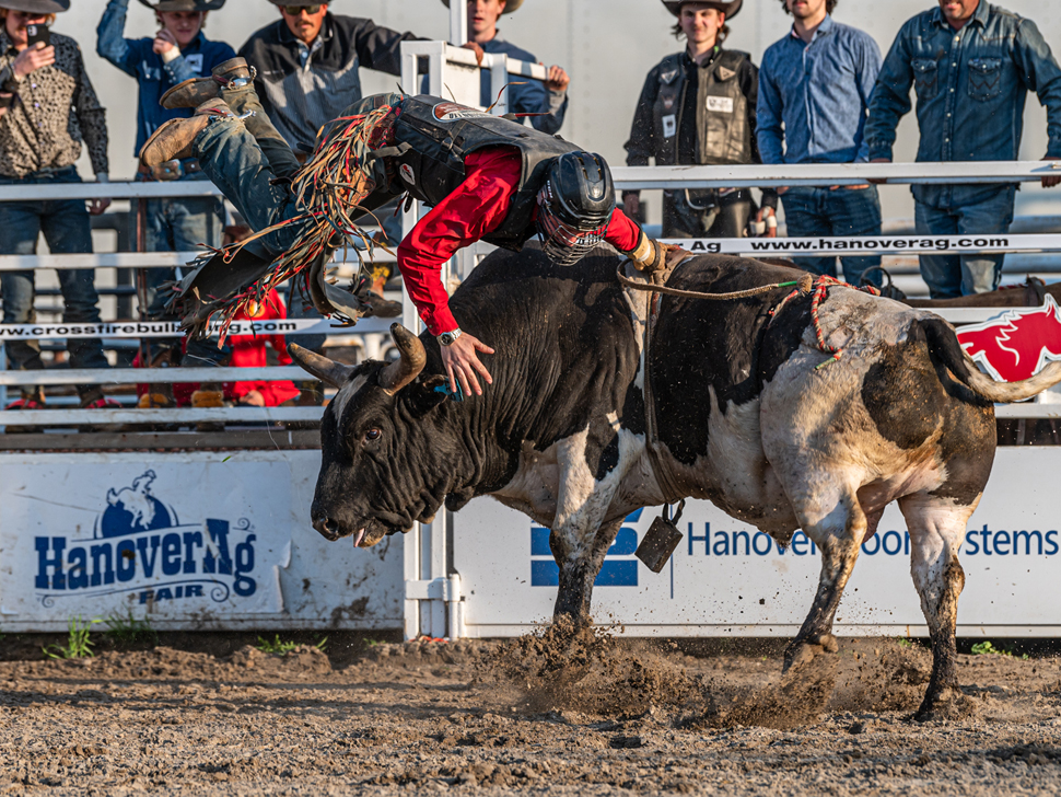 Hanover Ag Fair back for 79th year! - SteinbachOnline.com - Local news ...