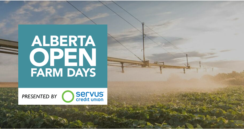 It's Alberta Open Farm Days - DiscoverAirdrie.com - Local News, Weather ...