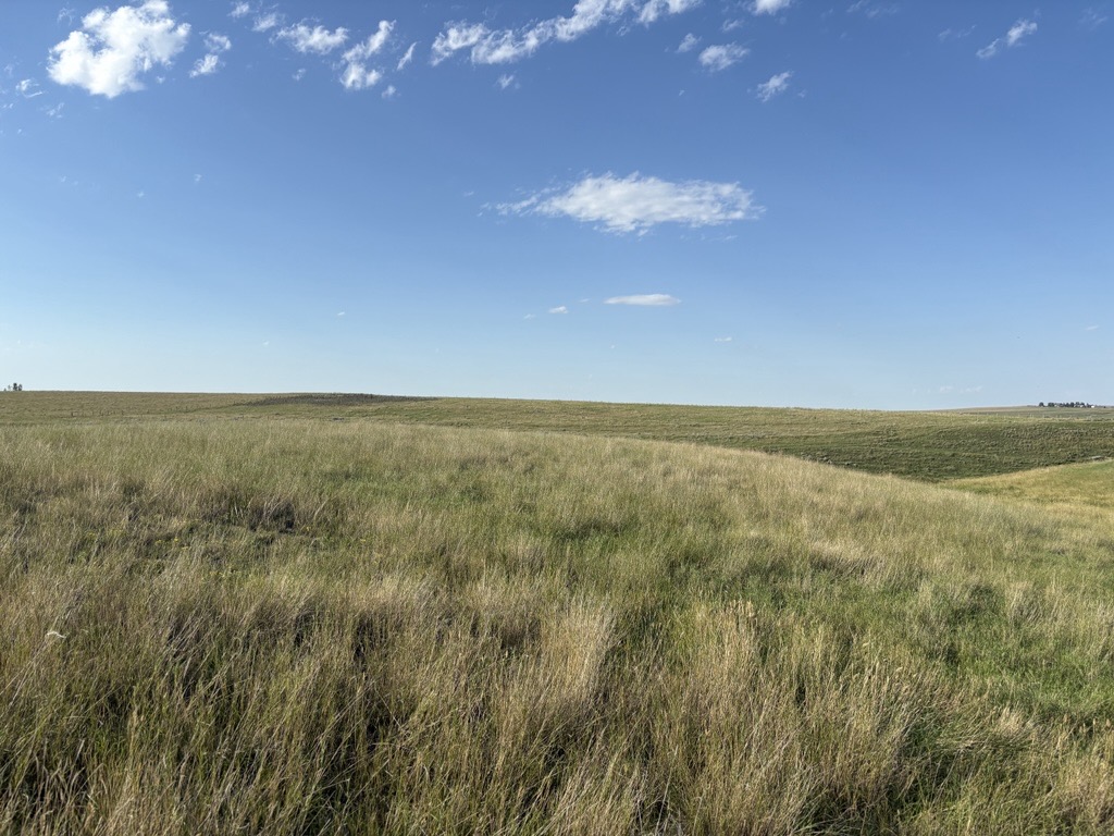 Southwest History: 5,000-year-old archeological site buried beneath ...