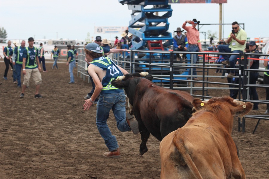 Colourful costumes dodge horns at Running with the Bulls ...