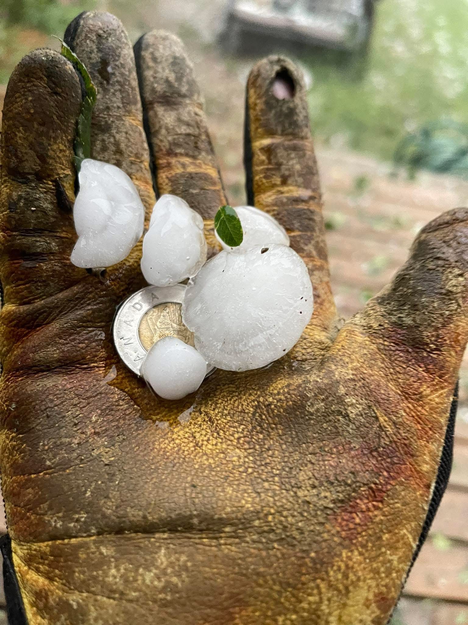 Severe storm pounds Brooks with hail, wind, power outages ...