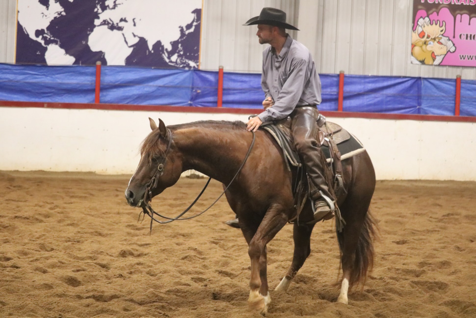 Provincial cutting horse competition taking place at the Golden Mile ...