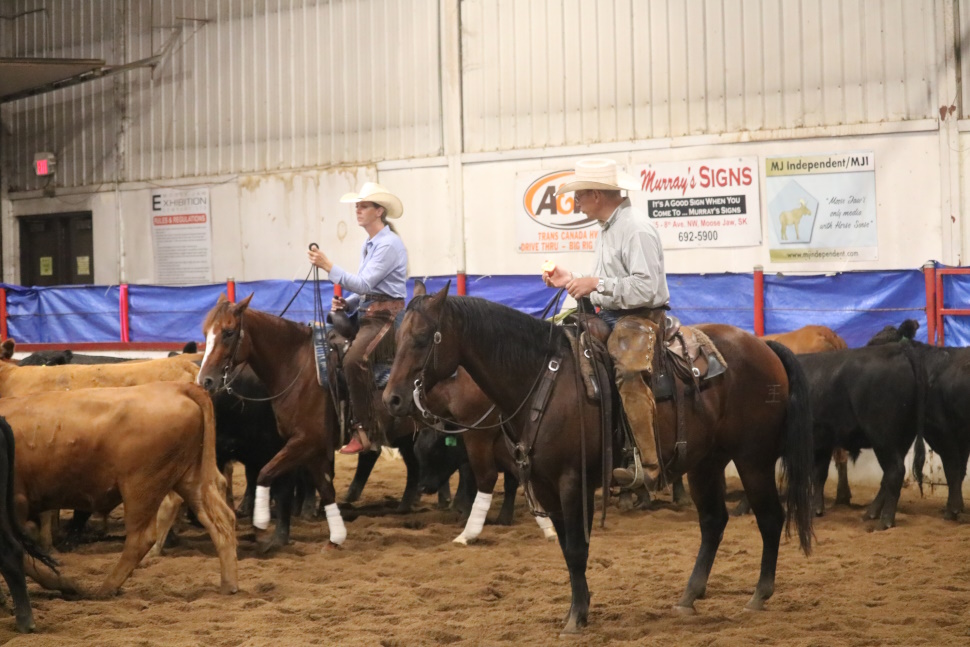 Provincial cutting horse competition taking place at the Golden Mile ...