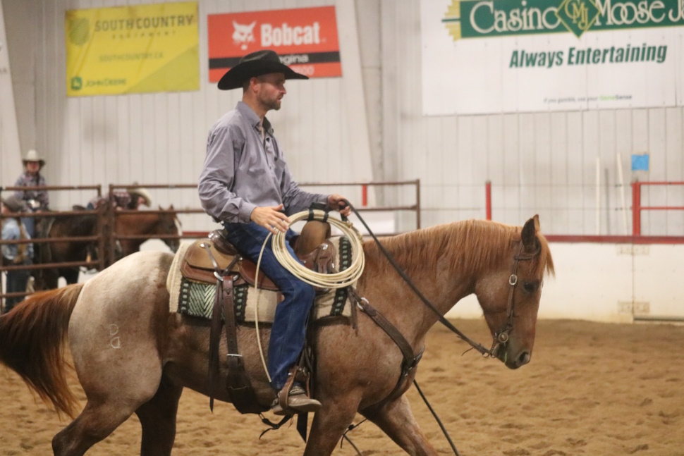Provincial cutting horse competition taking place at the Golden Mile ...