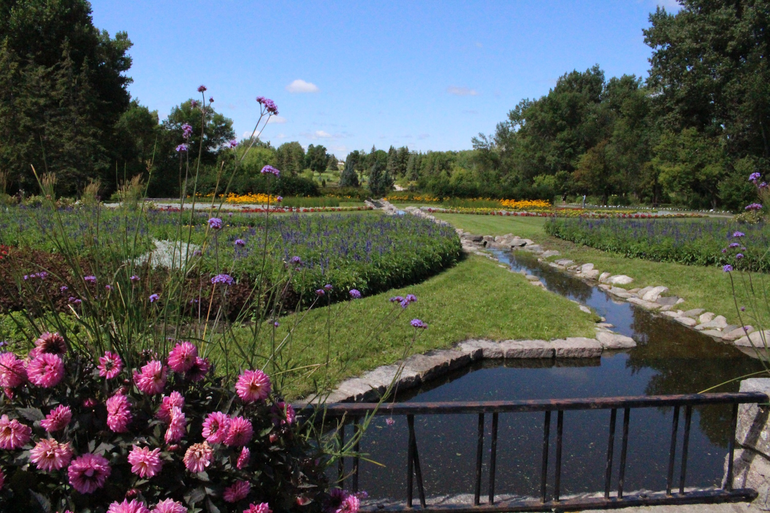 Handshake Across the Border: A day of peace, flowers, and friendship at ...