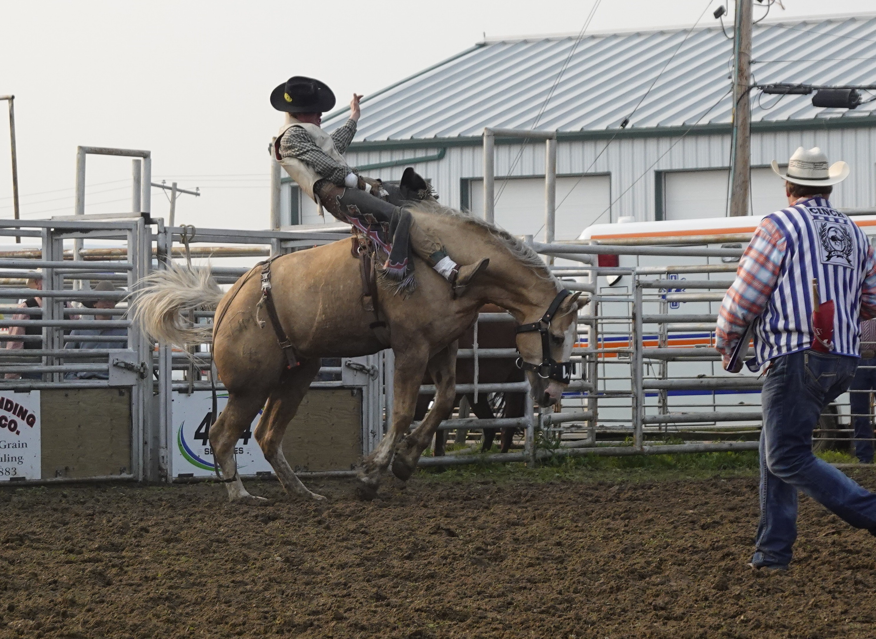 Local competition kicks up at Kyle Community Rodeo - WestCentralOnline ...