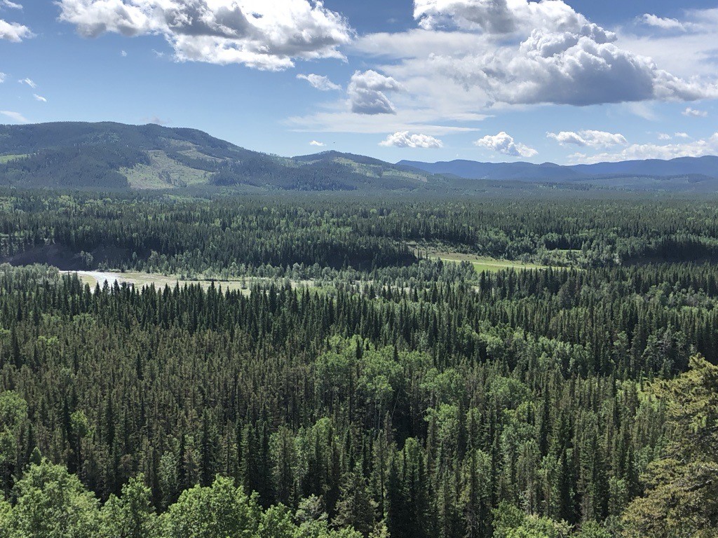 2025: A record year for Alberta Parks - CochraneNow: Cochrane, Alberta ...