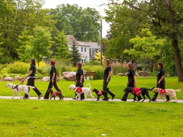 Innisfail fundraiser supports guide dogs for Canadians ...