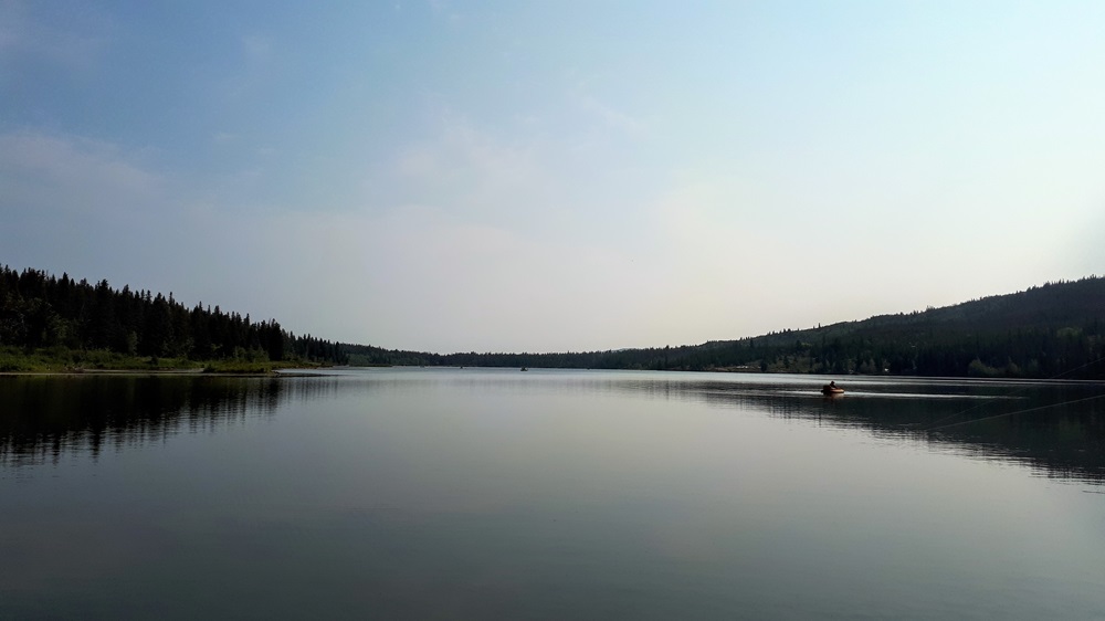 Blue-green algae are blooming in Alberta lakes - OkotoksOnline.com ...