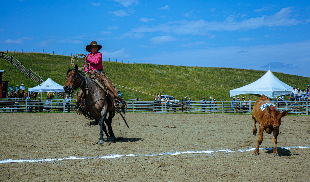 The Bar U Ranch will be filled with cowpokes this weekend, competing in ...