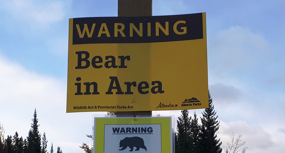 Closure and advisory in place after K-Country bear and moose encounters ...