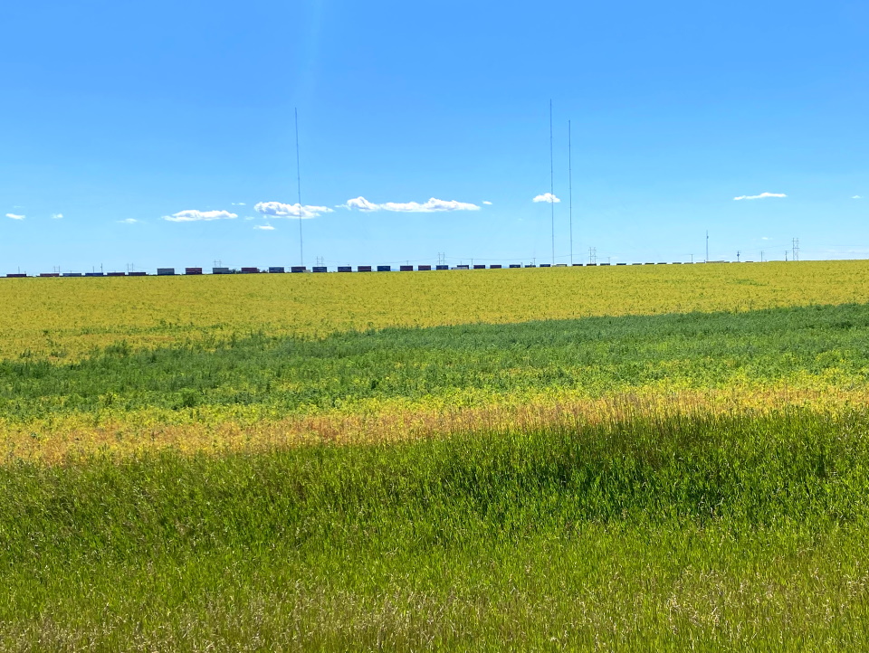 More moisture needed for optimal crops in the southeast: weekly crop ...
