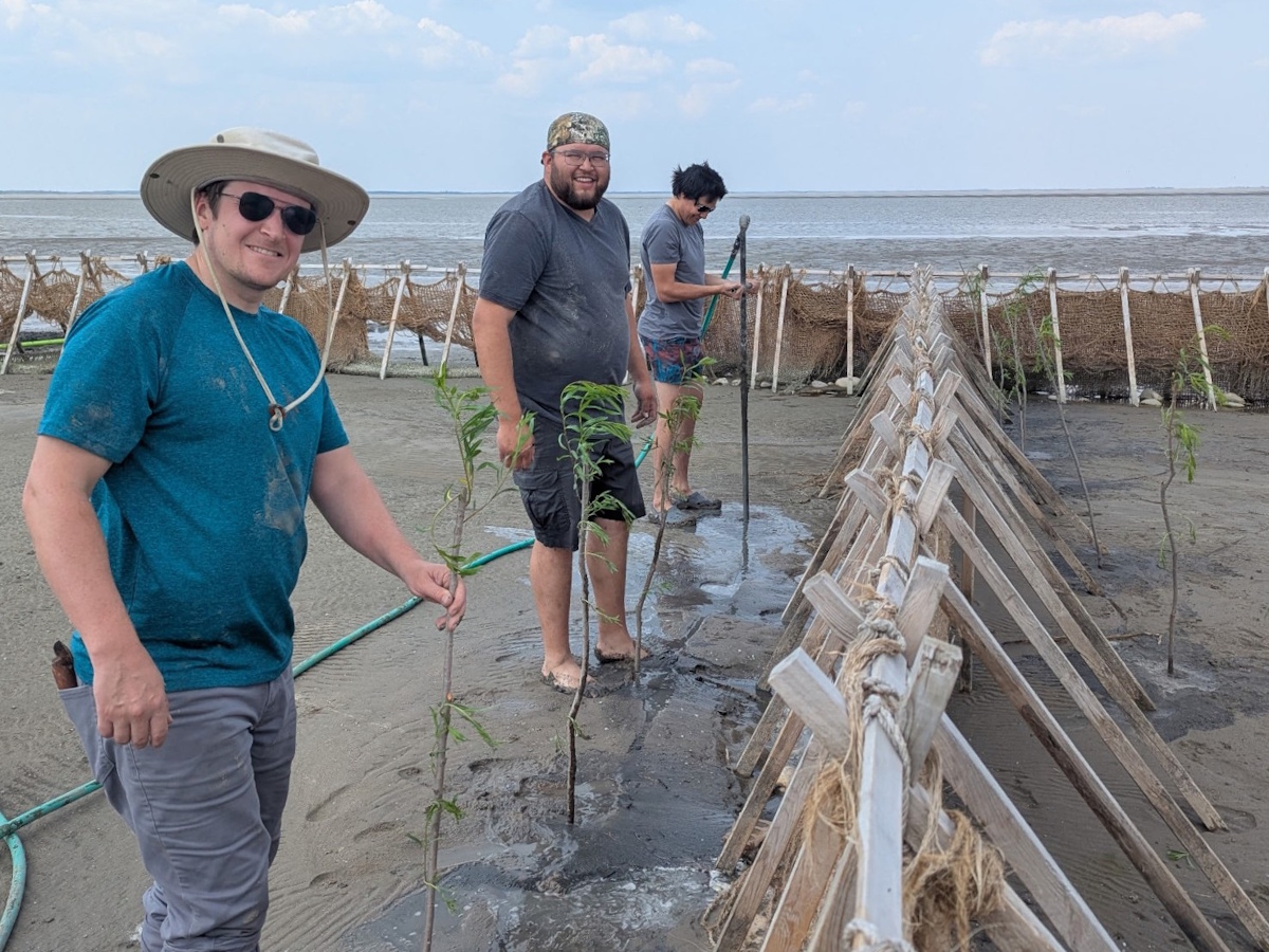Results already being seen in Netley-Libau Marsh restoration project ...
