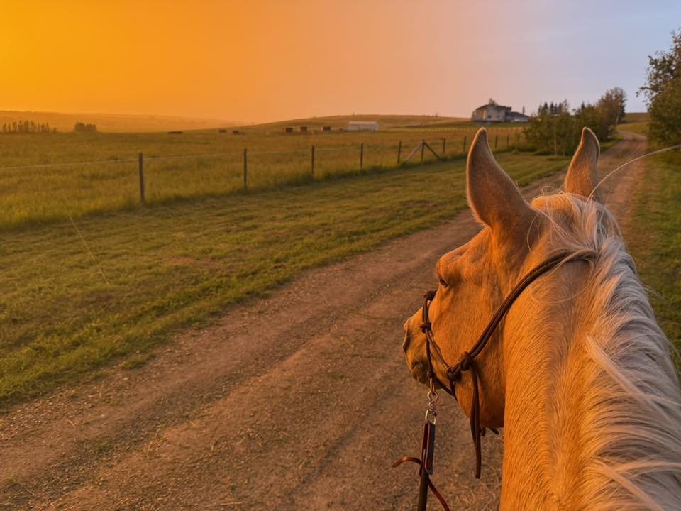 Cochranite's share photos of fiery sunset Sunday - CochraneNow ...