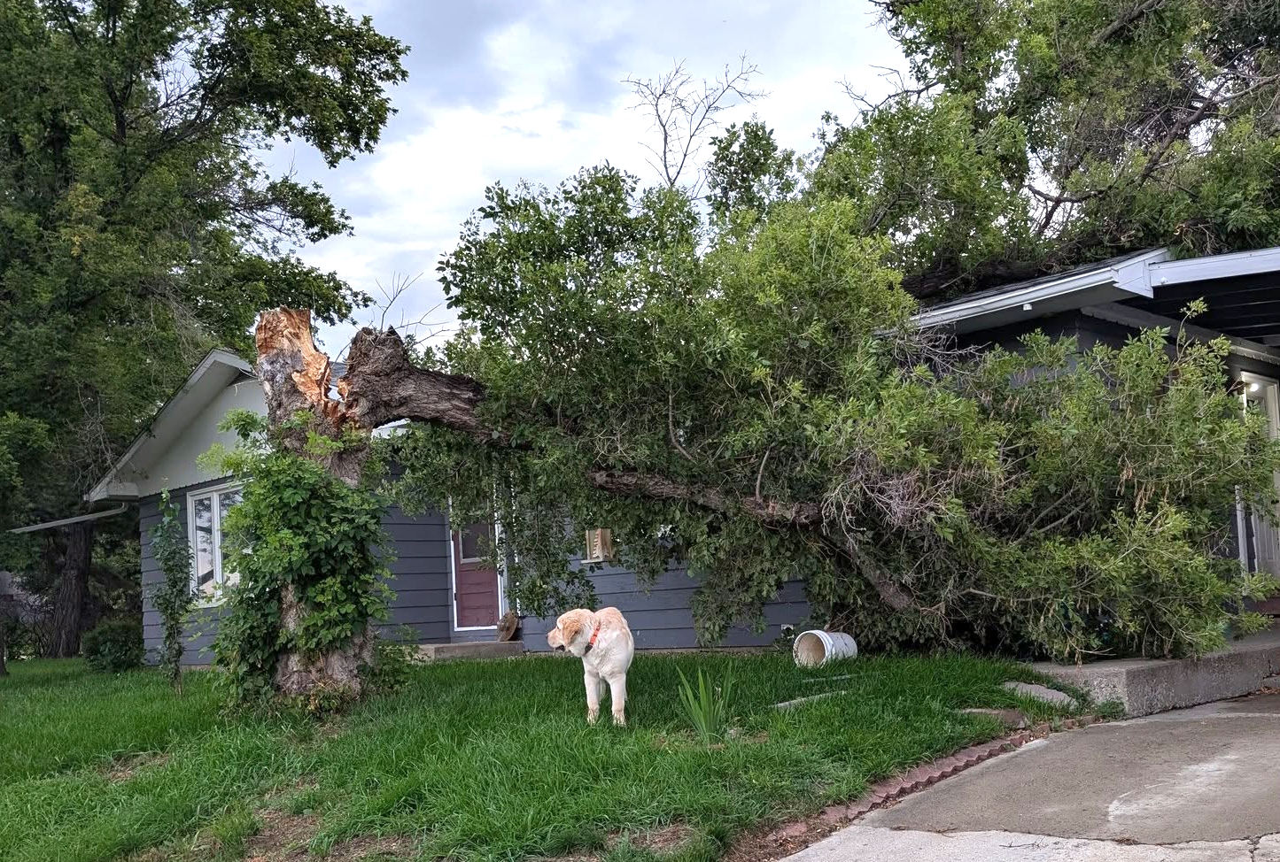 Wild and windy weather in the southwest - SwiftCurrentOnline.com ...